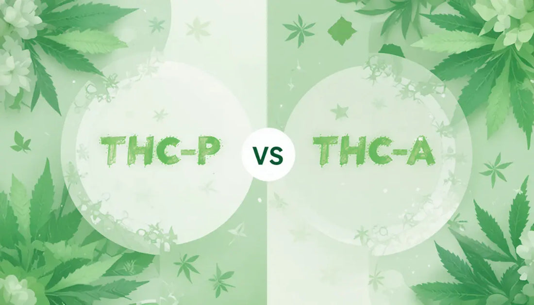THC-P vs THC-A: Understanding the Difference Between THCA and THCP – Moody Moon Hemp